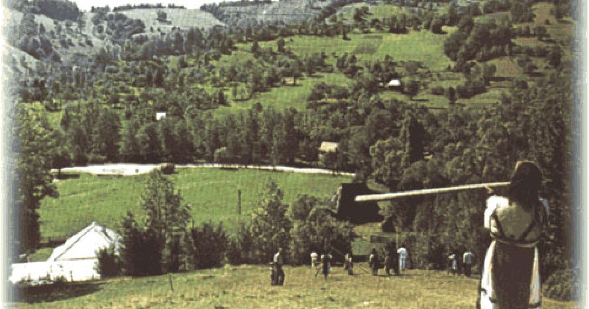 Buciumul sună cu jale