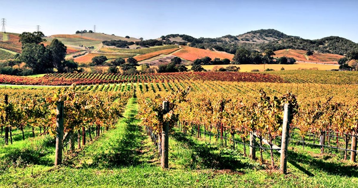 Podgorii celebre în lume