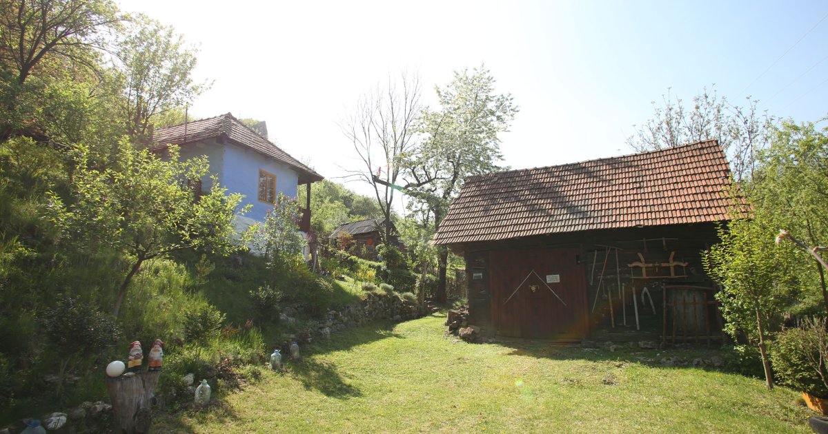 Băcâia, satul de basm de pe Cheile Cibului | Poza 5