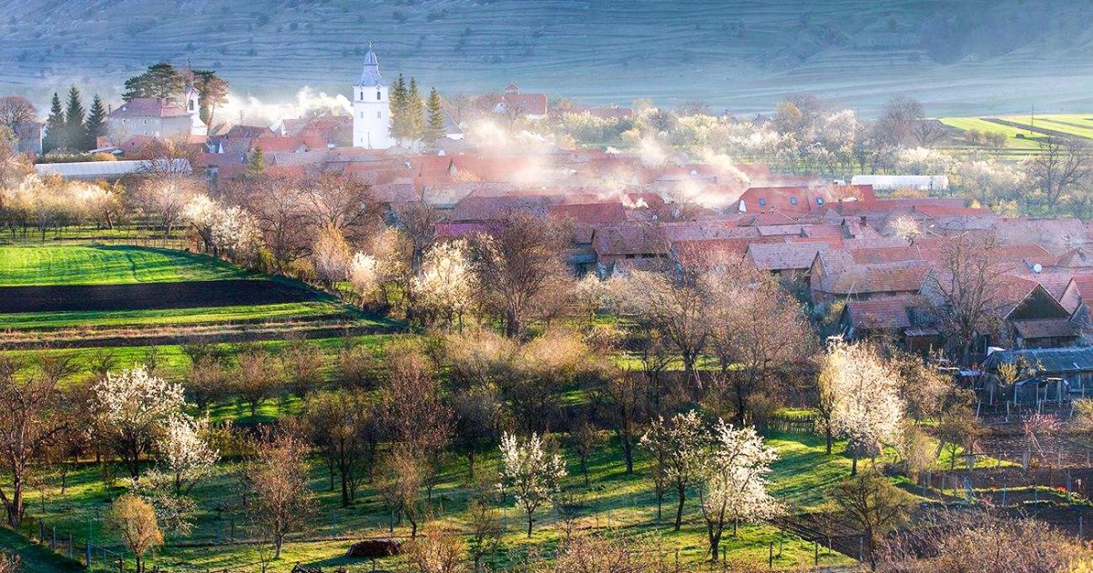 Satul românesc se reinventează la condițiile istorice