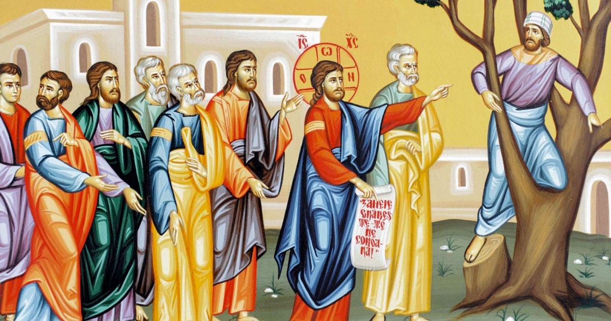 Despre o curiozitate care mântuiește | Poza 1