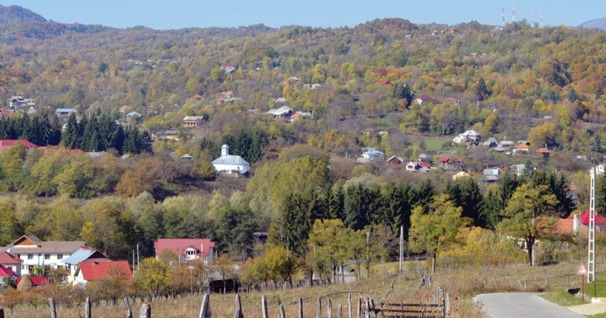 Drumuri prin Brăduleț, Brădet și Galeș