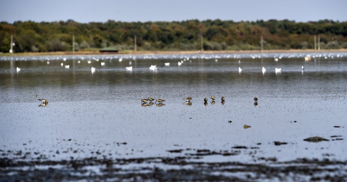 Noi stațiuni turistice