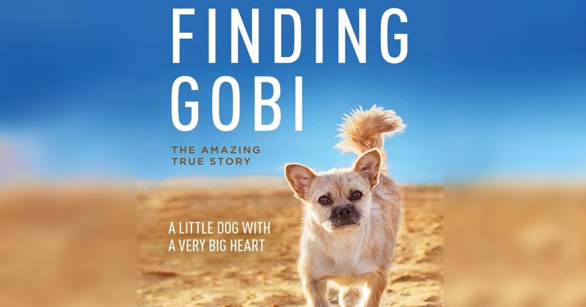 Gobi şi eu