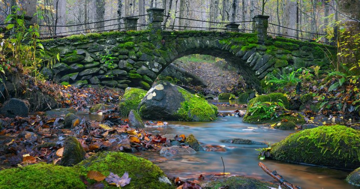 Podul din palma unui copil