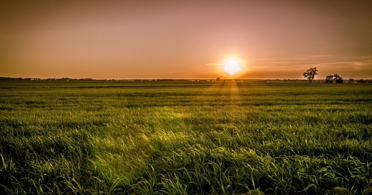 Orizonturi de așteptare