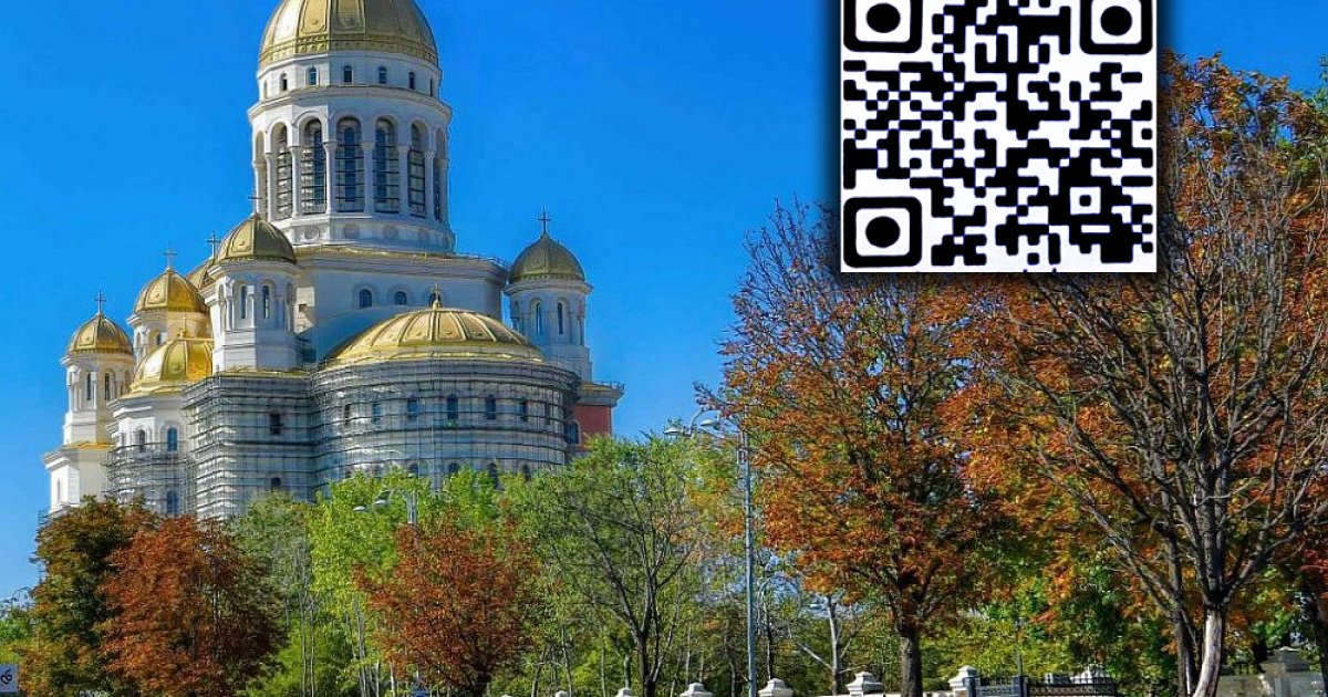 Coduri, cămile și țânțari