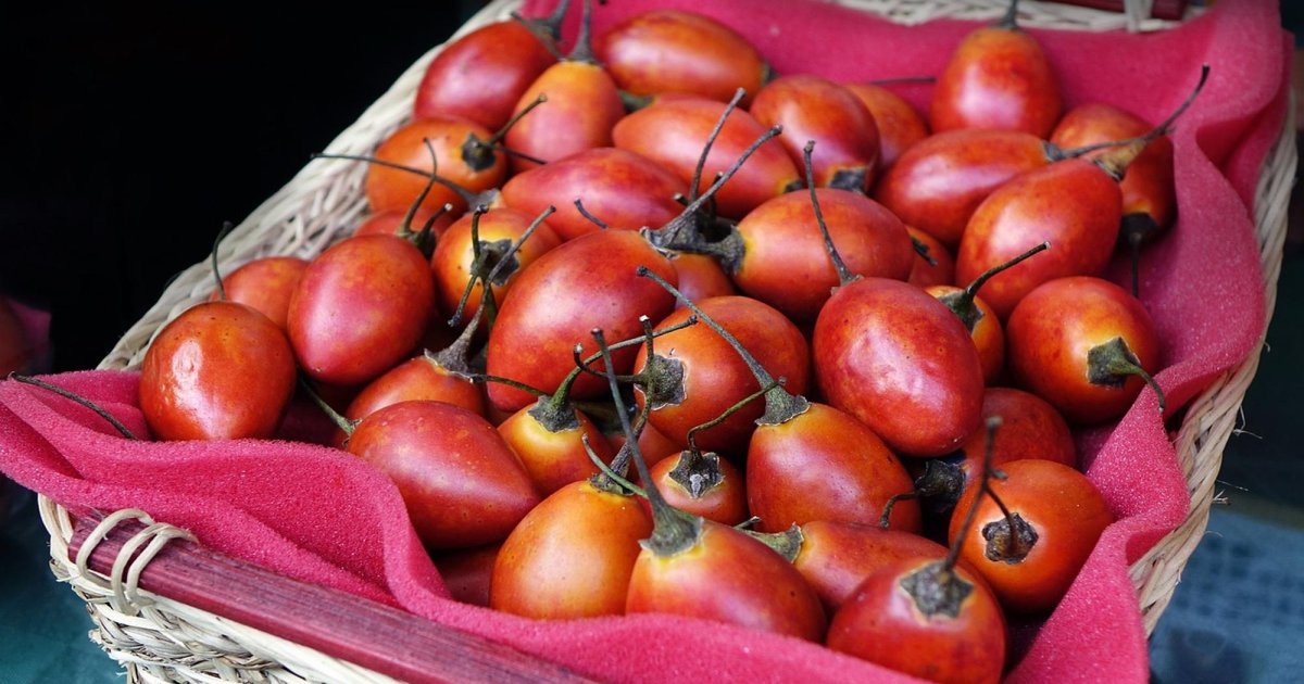Preparate rapide cu fruct de tamarillo