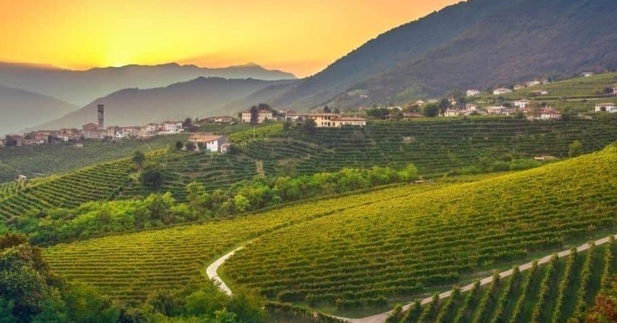 Colinele Prosecco, „peisaj cultural”